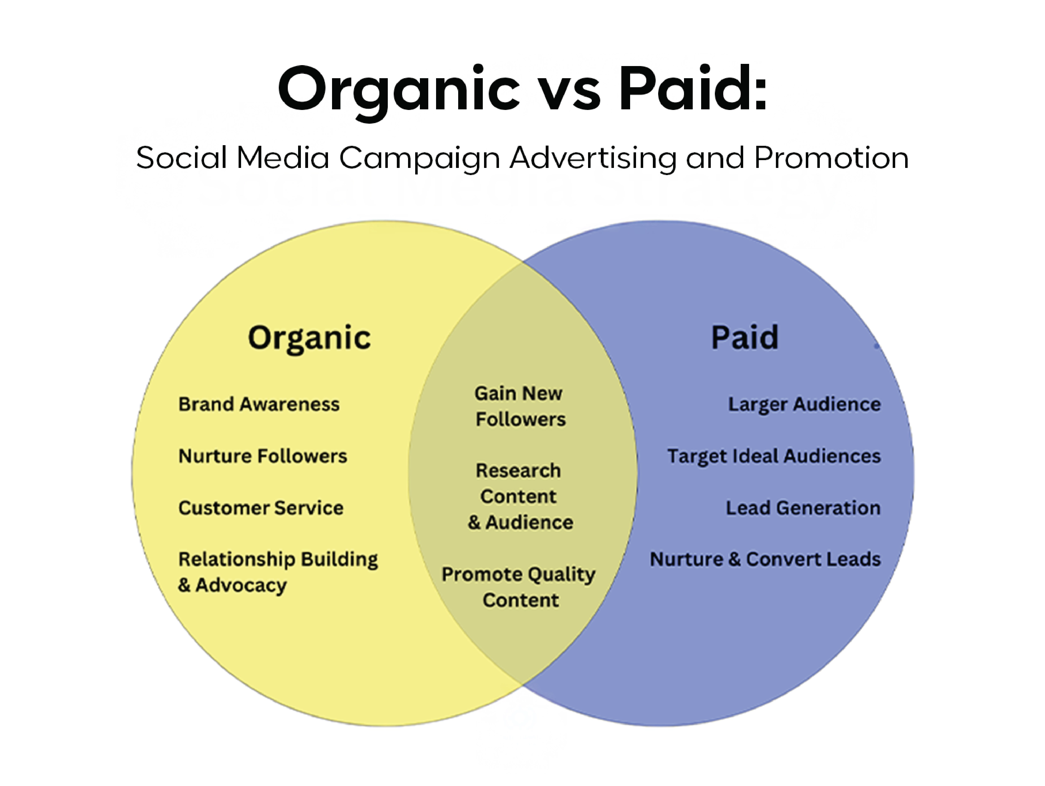 Organic vs Paid Social Media Campaign Advertising and Promotion